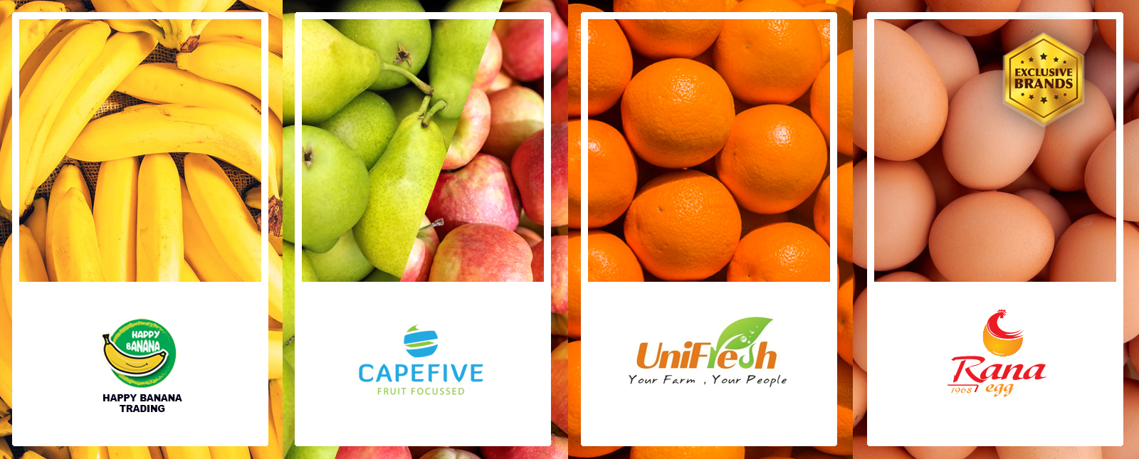 SUHOL AL FAYHA | Your Trusted Fresh Fruits & Vegetables Distibutor ...